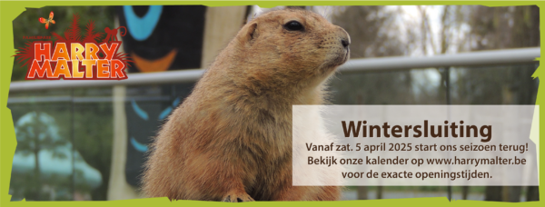 Openingsuren – Harry Malter